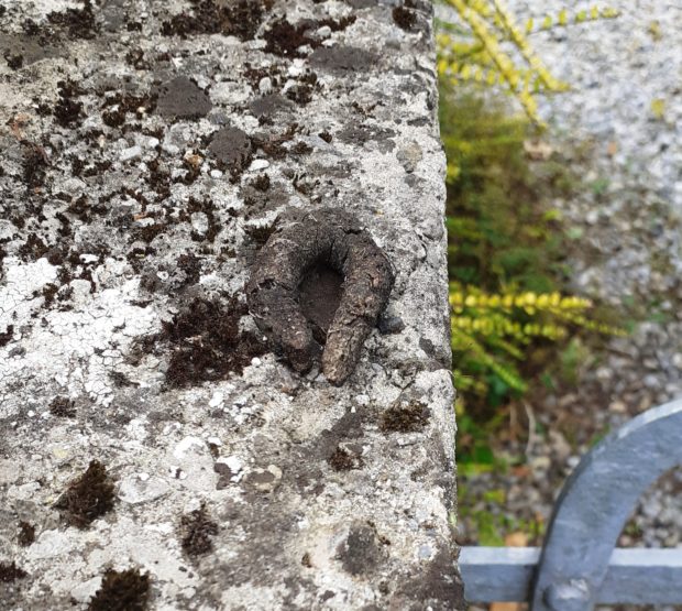 Jennie Finch - Author & Screenwriter