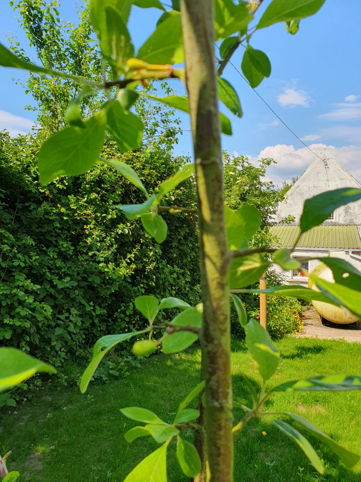 Jennie Finch - Life in rural Ireland